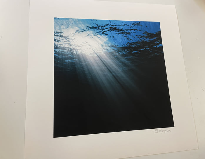 Ocean Artists Impression Ocean Blooms Contemporary Impressionism