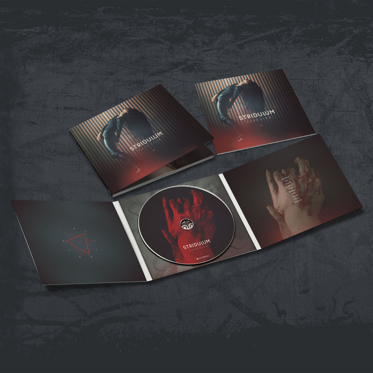PARADIGM | STRIDULUM