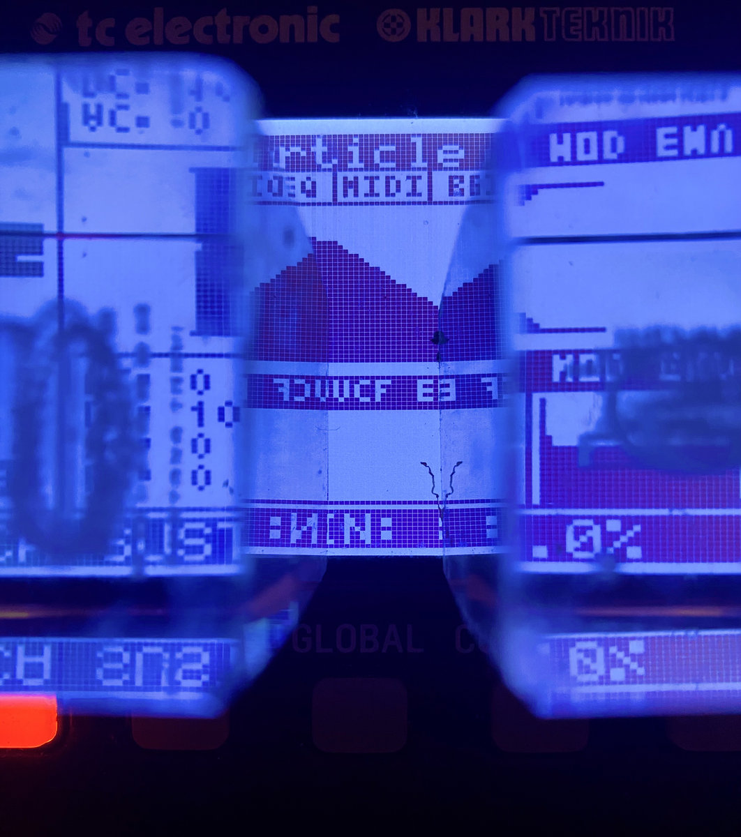 Play With Deaf Cats | Lory D