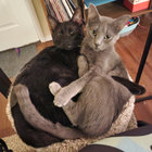 Bloody Keep - Bloody Horror | Bloody Keep | Grime Stone Records