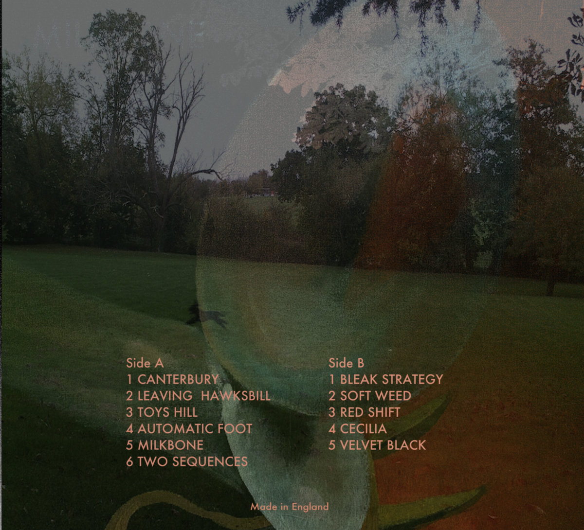 MILKBONE | MILKBONE - Phil Scragg - Matt Berry - James Sedge | Milkbone