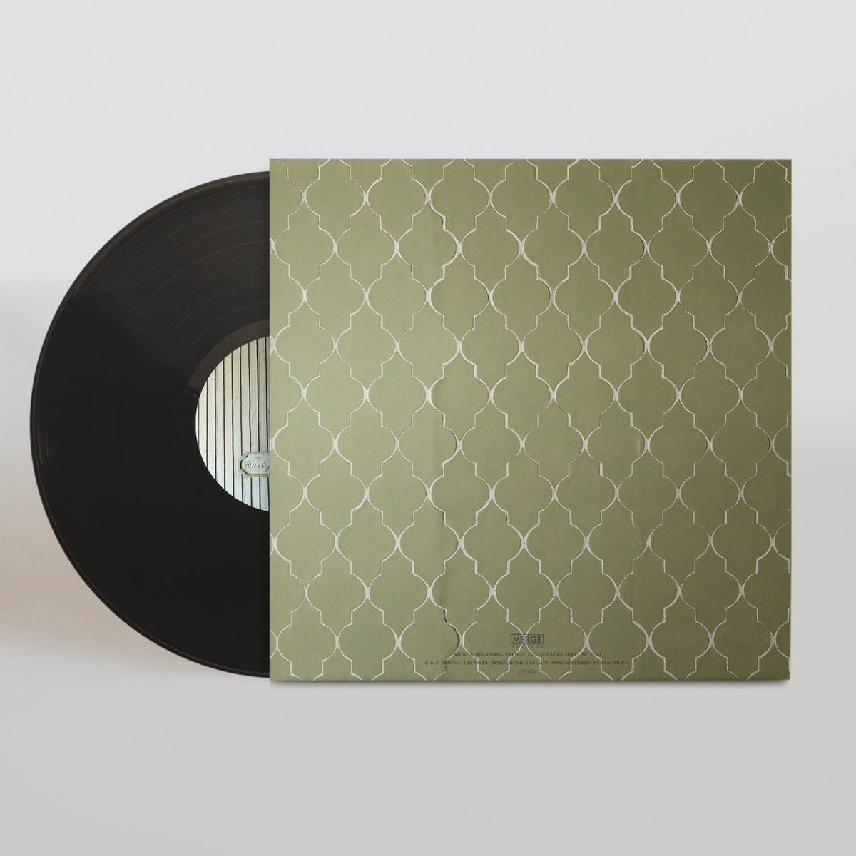 Transfiguration of Vincent | M. Ward