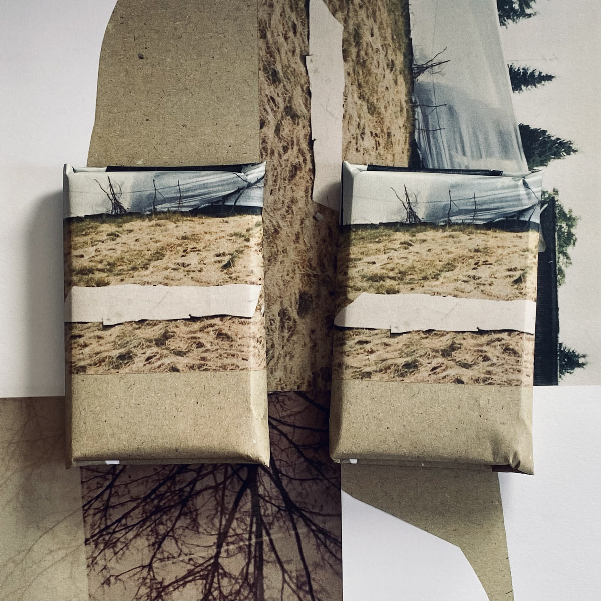 Adits | Tom Betteridge | Falt