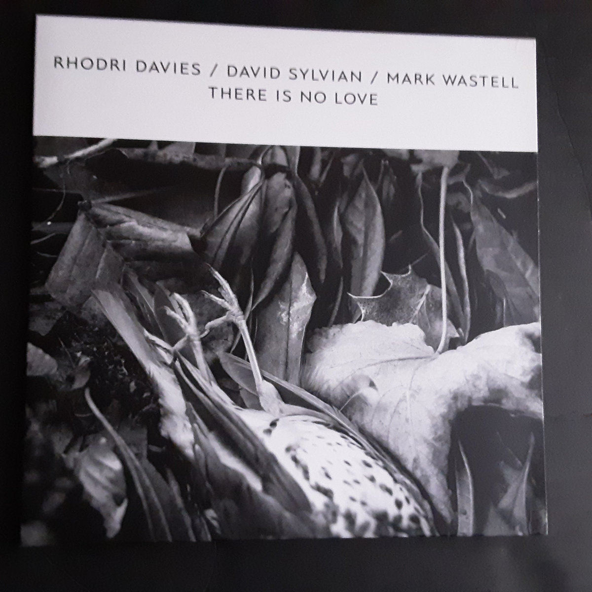 Rhodri Davies / David Sylvian / Mark Wastell: THERE IS NO LOVE (LP ...