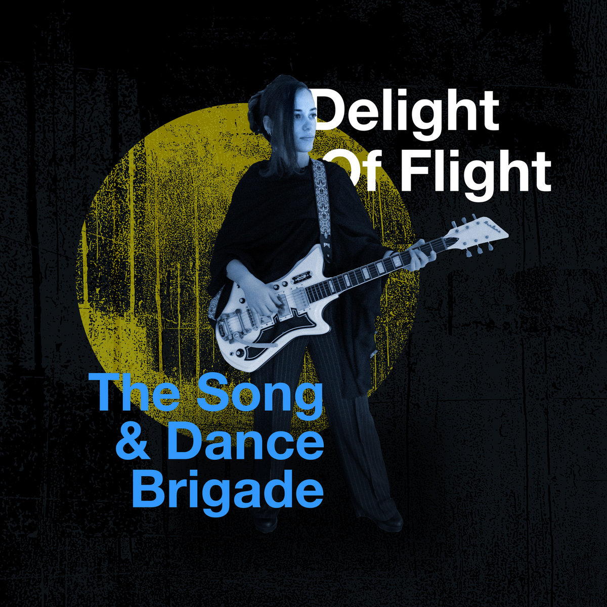 Delight of Flight | The Song & Dance Brigade