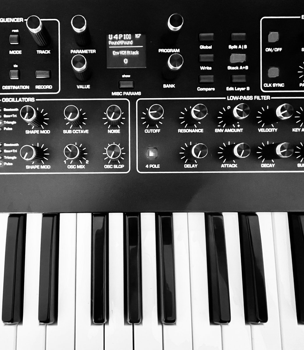Prophet Rev 2 and Prophet 800 Chords - Stabs & Bass Sample Pack ...
