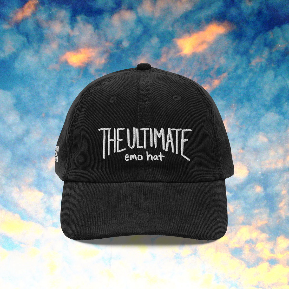 The Ultimate Emo Hat | REALLY RAD RECORDS