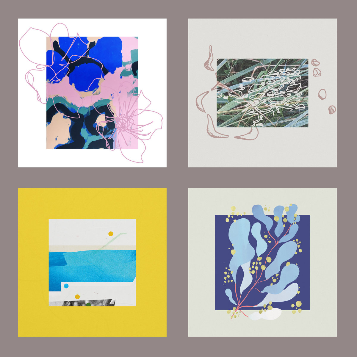 WSDM Album Bundle | Wisdom Teeth