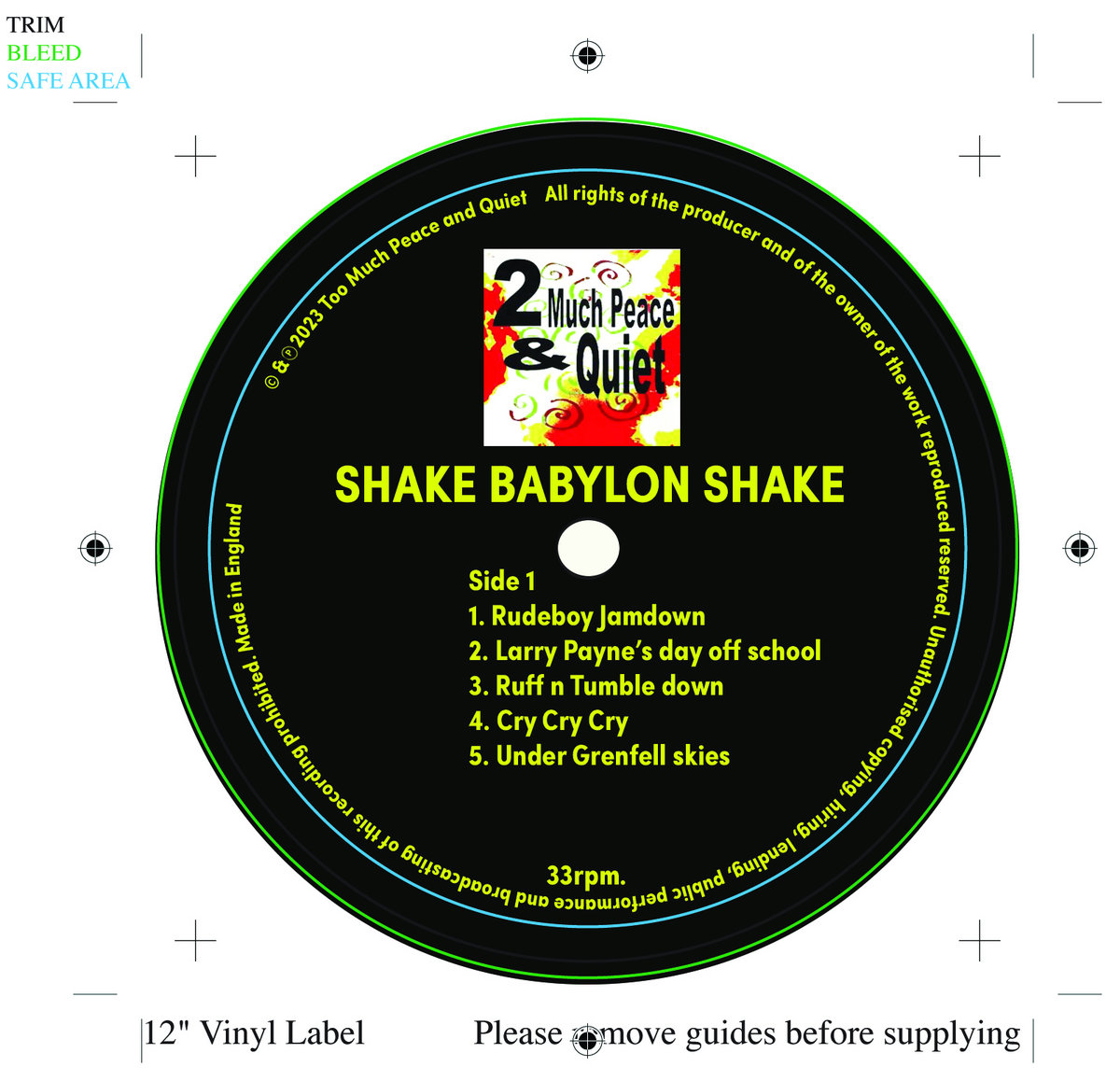 Shake Babylon Shake | The Mighty Rebel Sound Syndicate