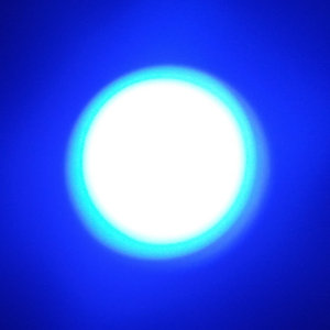 Music | Roses For Sharon