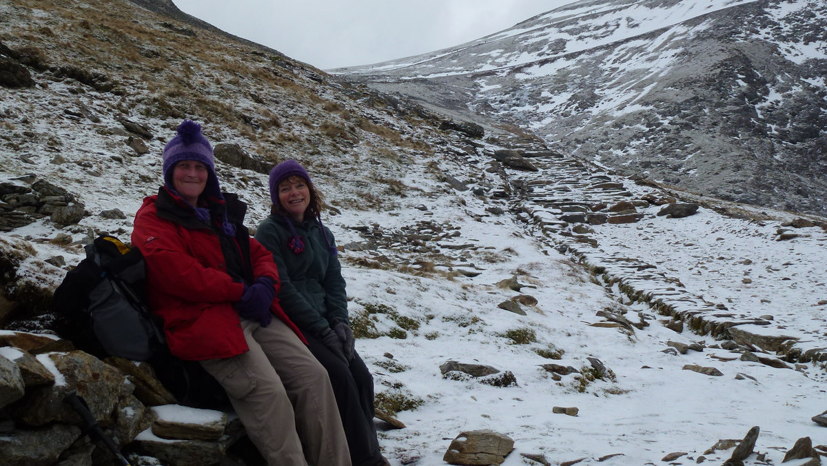Hefted | Tan Yows - Jan Harrison and Lynda Howard | Tan Yows