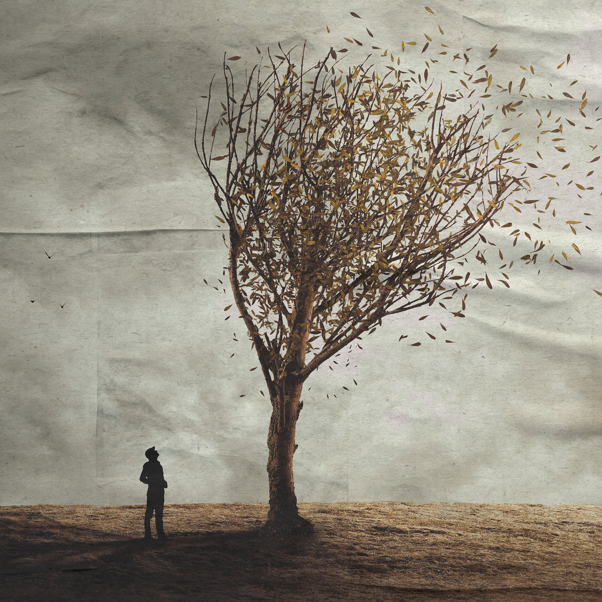 Carry On | Shake The Tree