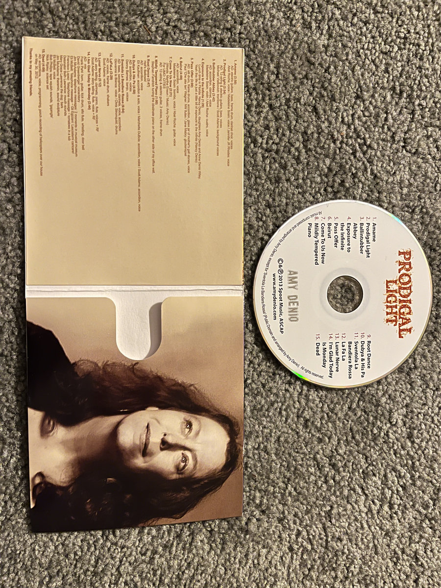 Prodigal Light | Amy Denio / Spoot Music