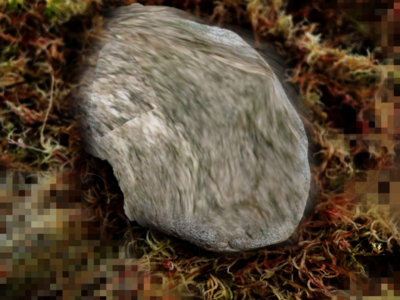 Boring Rock | Two Shell