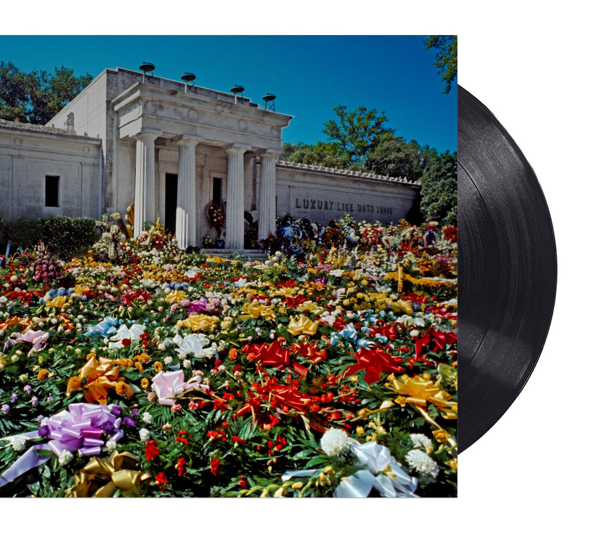 Like Unto Lambs | Luxury