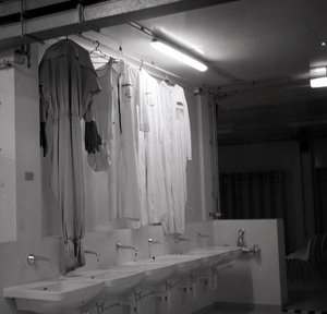 Merch | tothem records