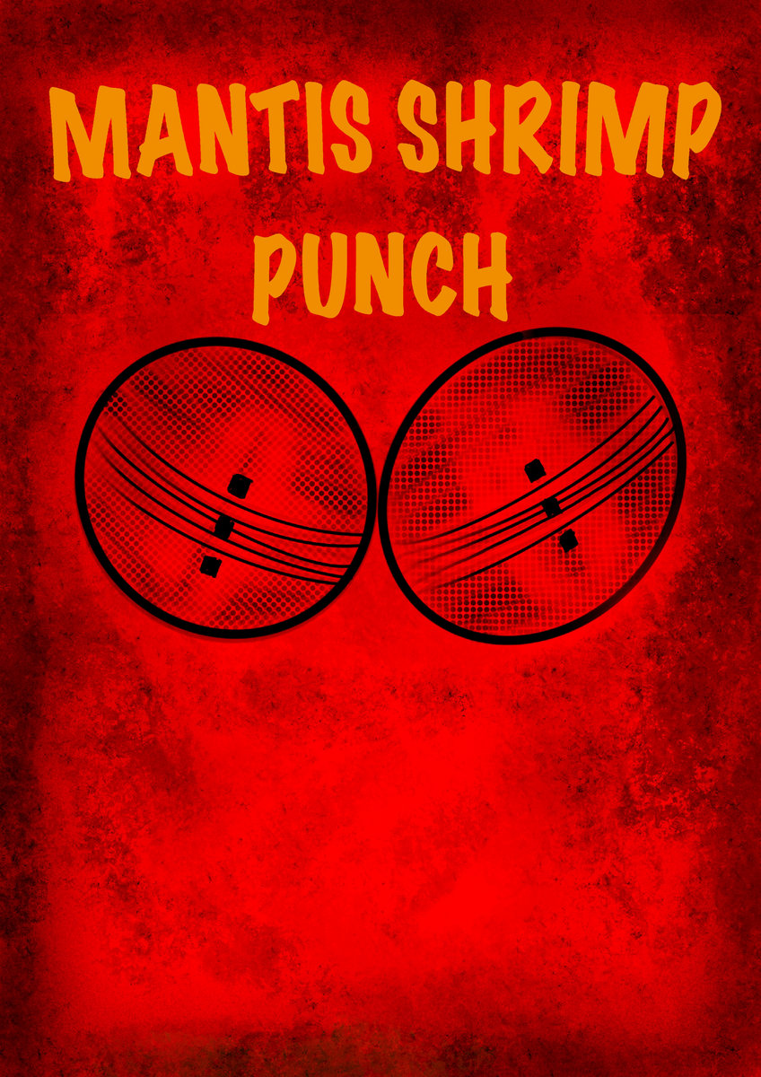 MANTIS SHRIMP PUNCH | MANTIS SHRIMP PUNCH