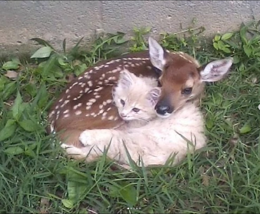 IS SHE FOUND YET | Hayden Ferguson