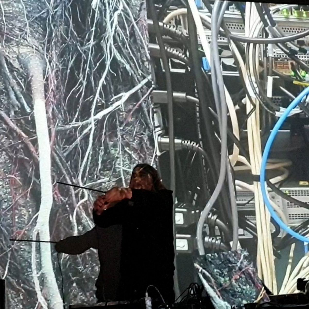 Rhythms From The Electronic Noosphere | John Wild