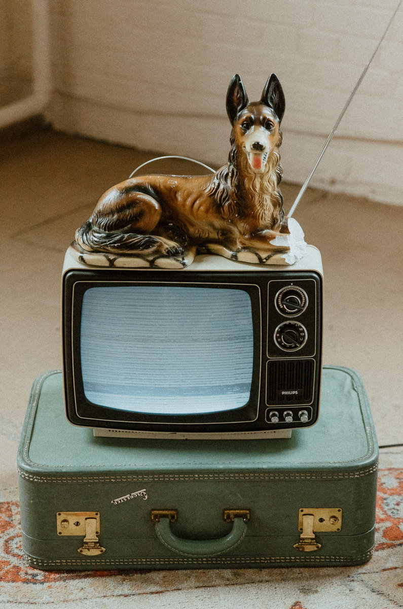 In Heat | TV Dog