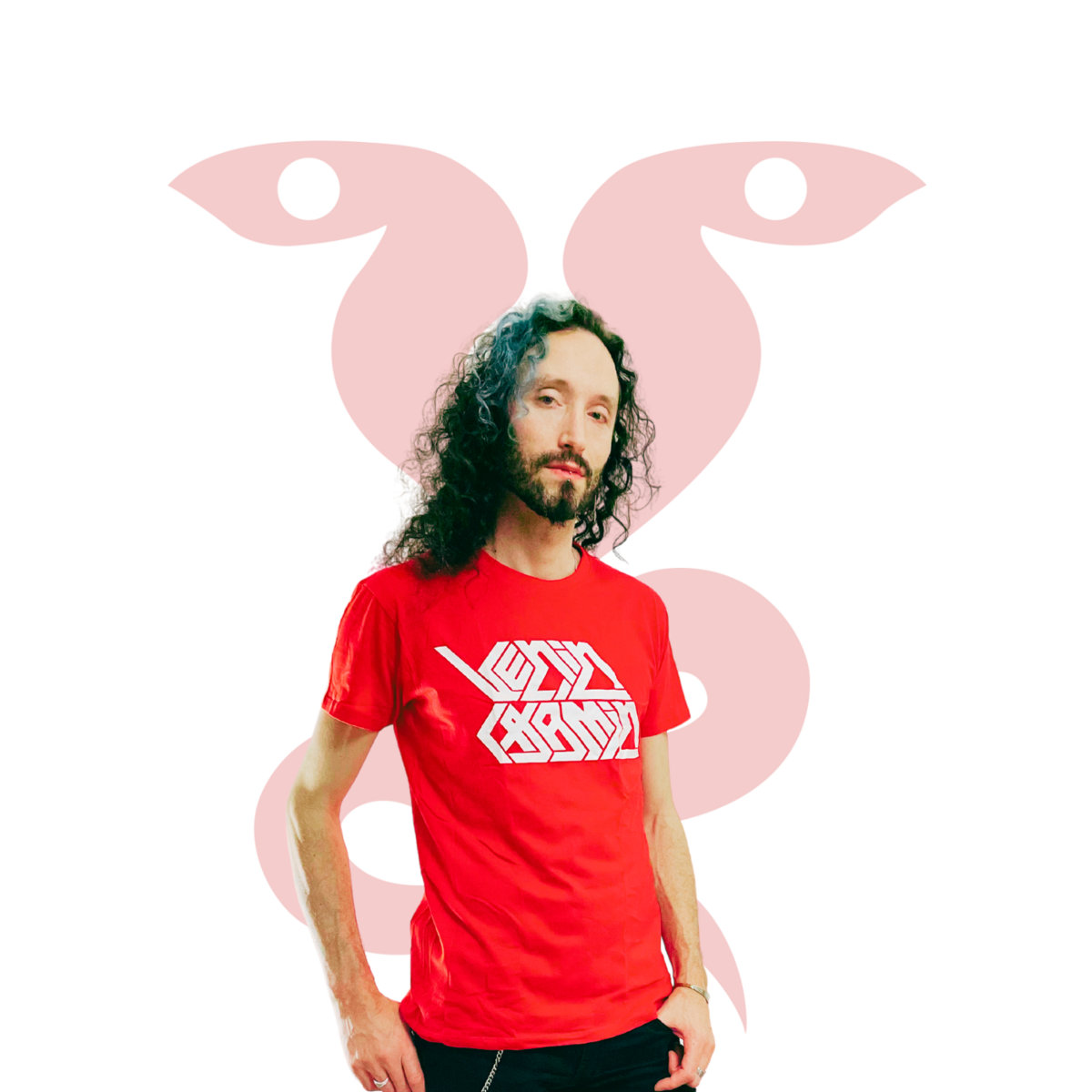 TOXIC LEGENDS | VENIN CARMIN