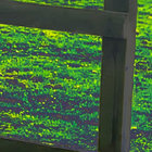 The 2nd Amendment | JPEGMAFIA x Freaky | JPEGMAFIA