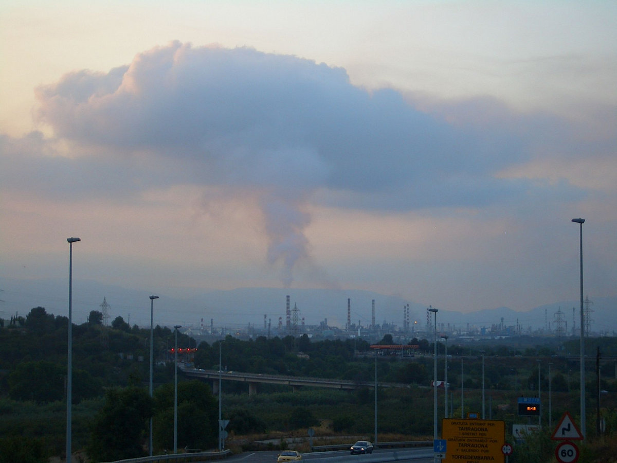 Rain's Shadow | sardonic | Sardonic