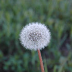 Dead Cells - Soundtrack Part 1 | Yoann Laulan