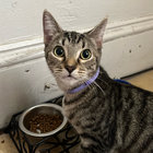 MIX. 02 - BOTHERED! | Femtanyl