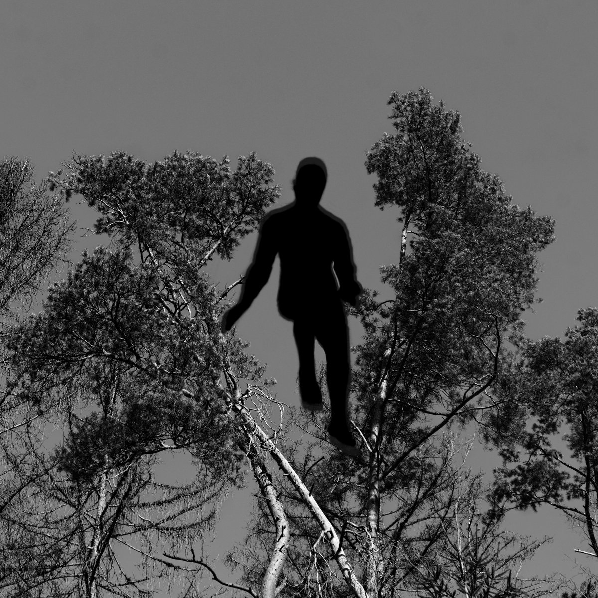 Close your eyes and listen | Robin Krause