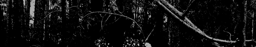 SKXM | SKXM | Witchyre