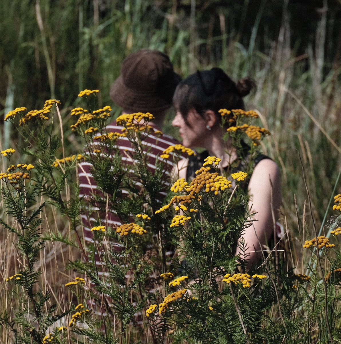 Pollinator | Victoria Sun