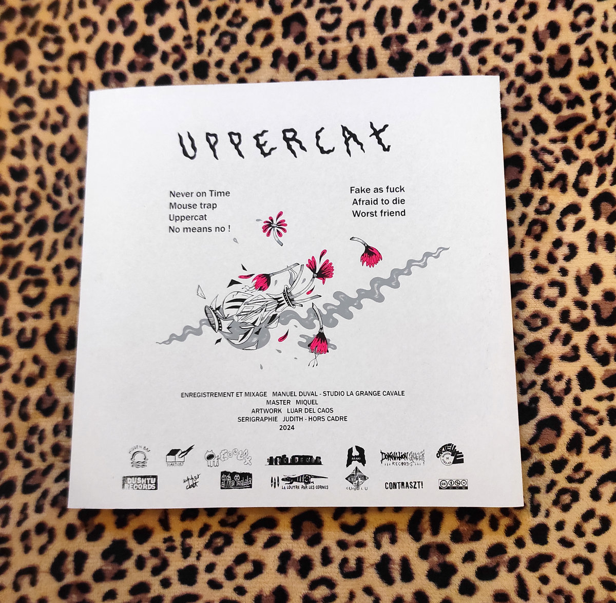 Uppercat | RADICAL KITTEN