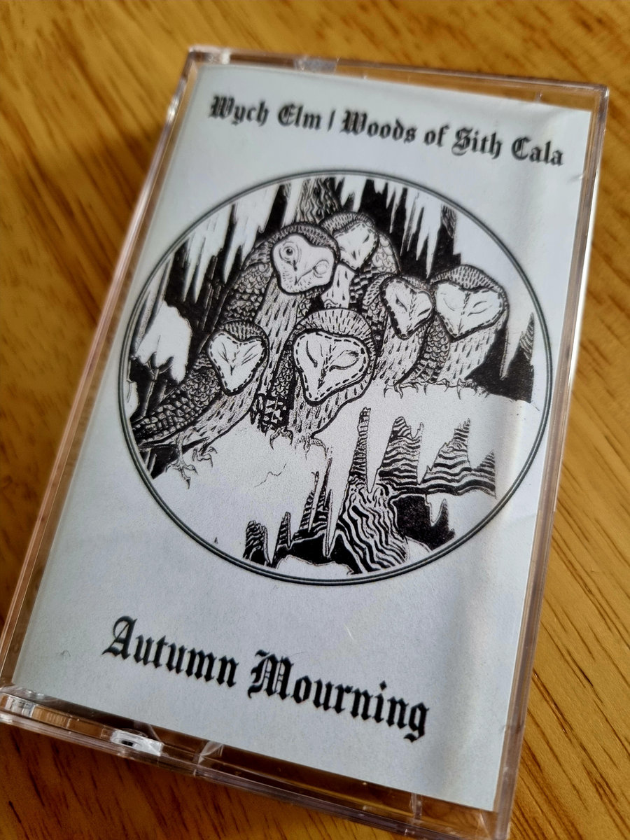 Autumn Mourning | Wych Elm