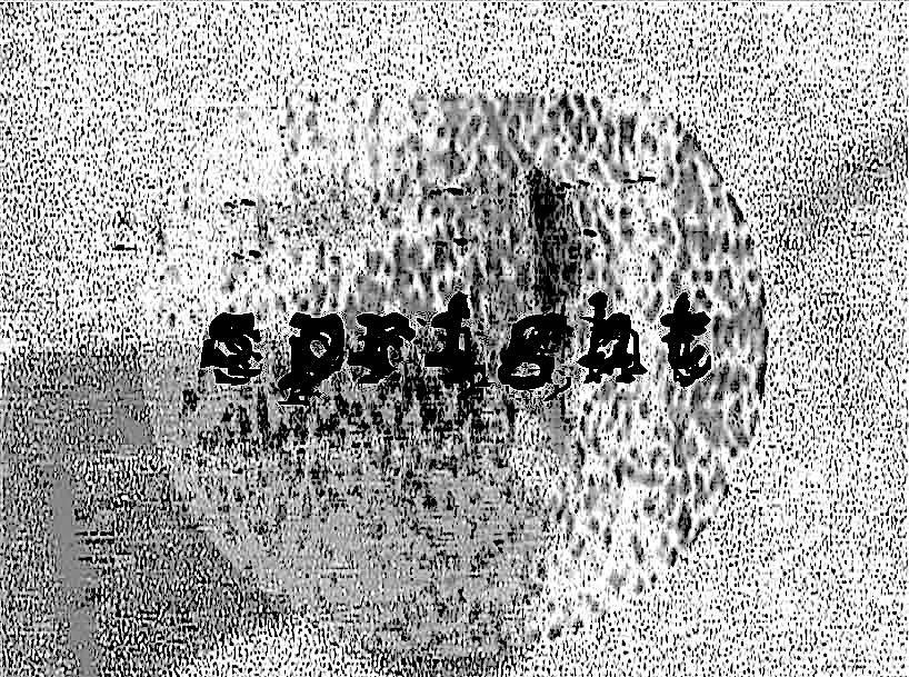 Spright | Spright