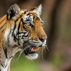 Some Heavy Ocean | Emma Ruth Rundle