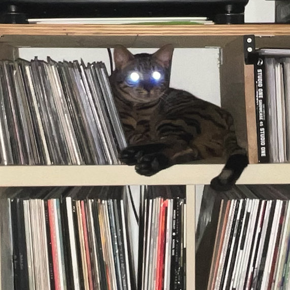 future-ruins' collection | Bandcamp