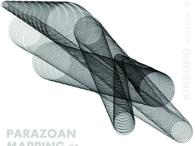 Parazoan Mapping 2 by Eric La Casa + Taku Unami | éric la casa