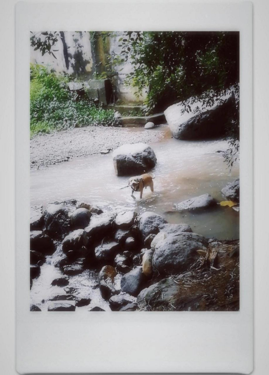 2005 sounds | truecolors | Truecolors