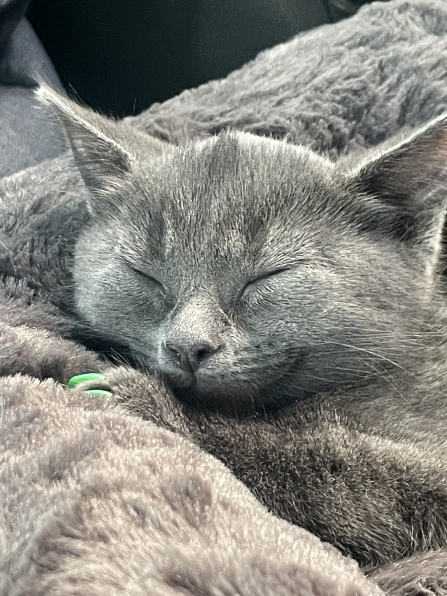 Fantasy Draft | Dirk Duncan