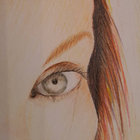 Arctic Moon | Chameleons | Chameleons UK