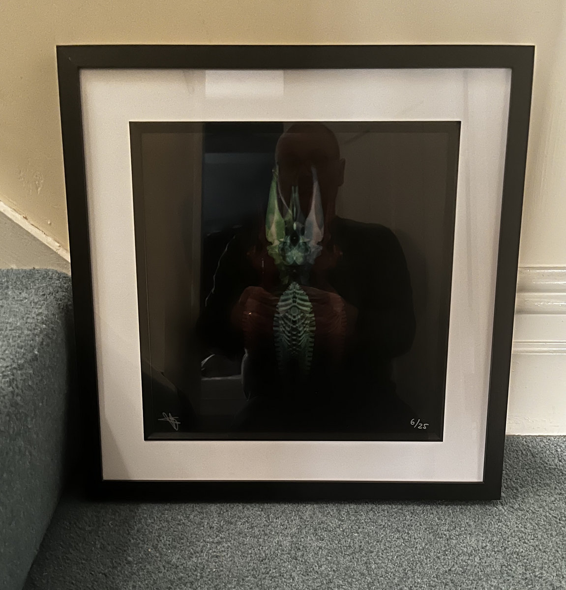 Limited edition 'Rotting' art prints | Evil Blizzard