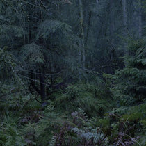 10010100's collection | Bandcamp