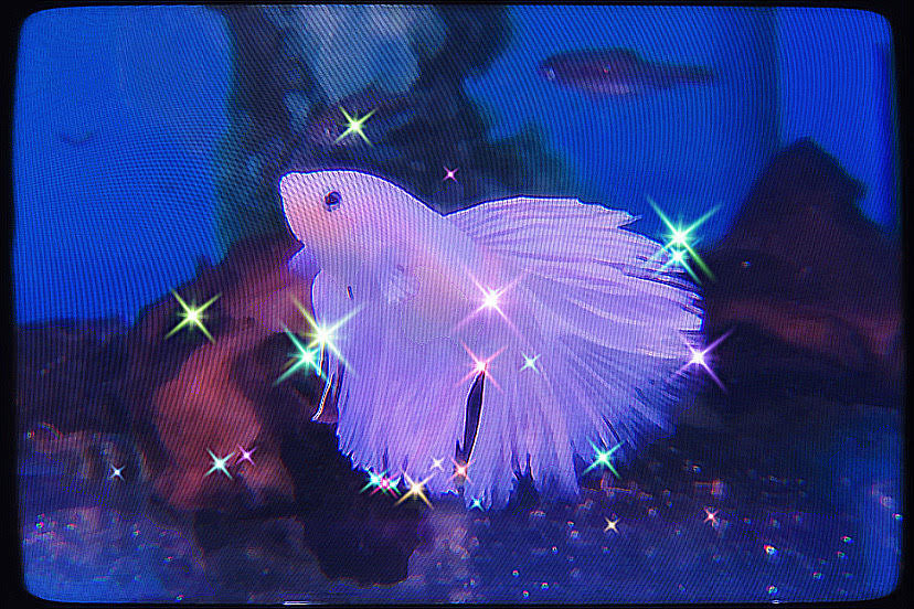 grimoire.computer | PJ HEN