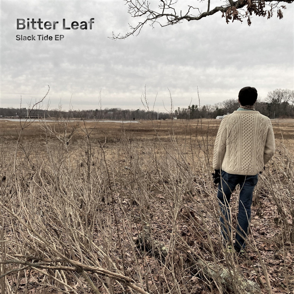 Slack Tide | Bitter Leaf