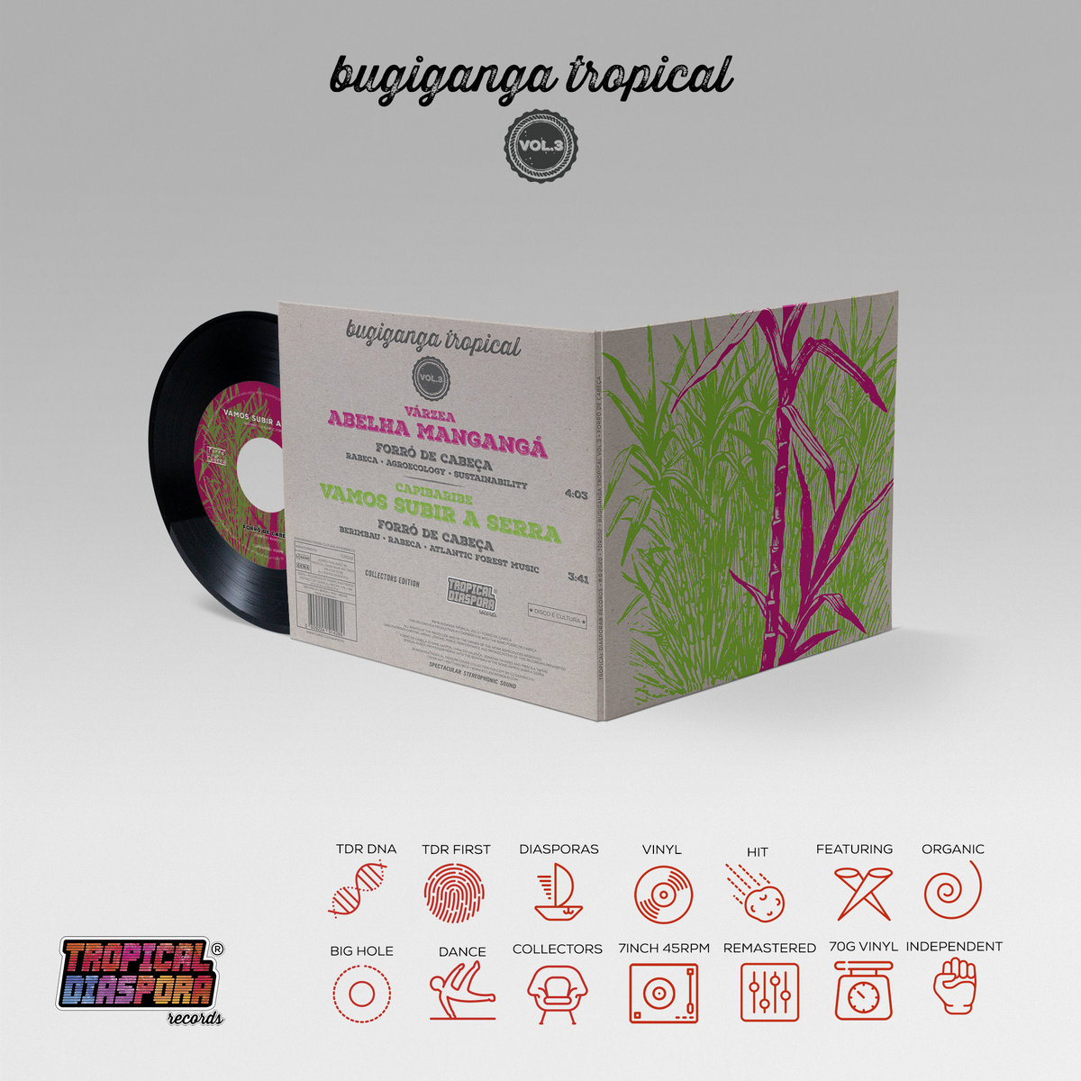Bugiganga Tropical Vol.3 | Forró De Cabeça