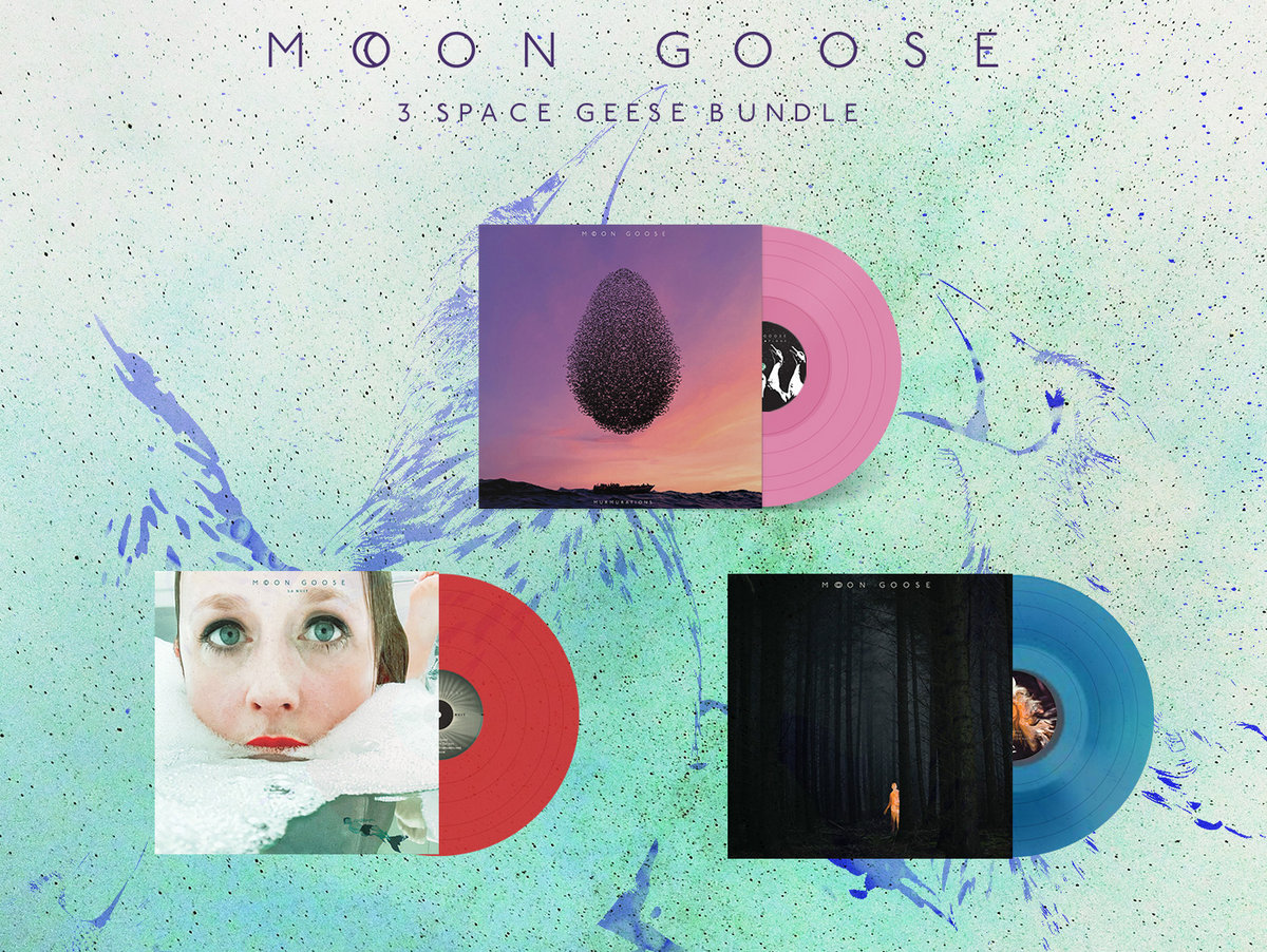 Murmurations | Moon Goose