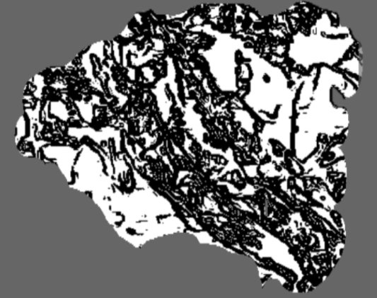 Cardiomyopathic Myasis/Post Mortem Animal Predation | Reverse ...