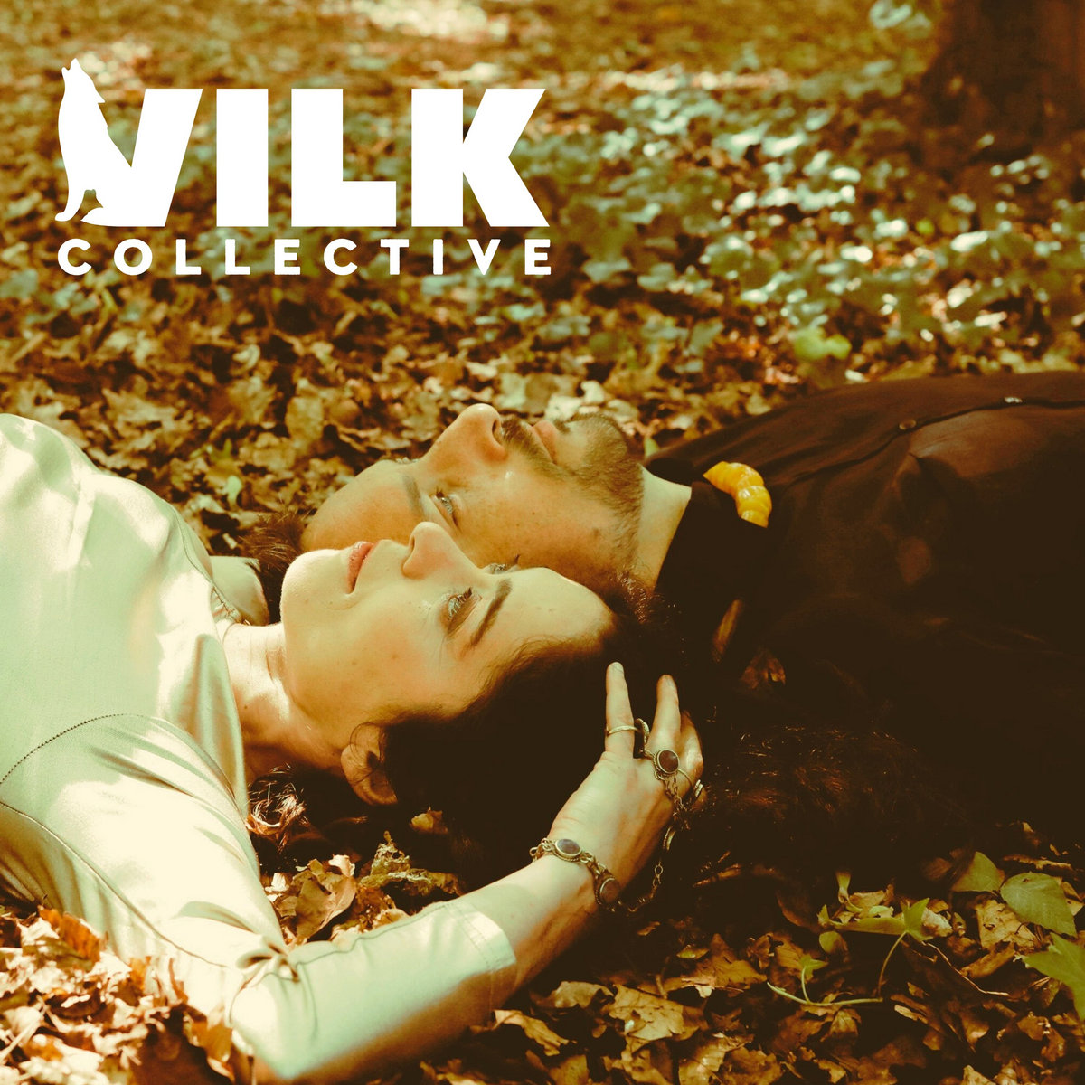 Evolution | Vilk Collective
