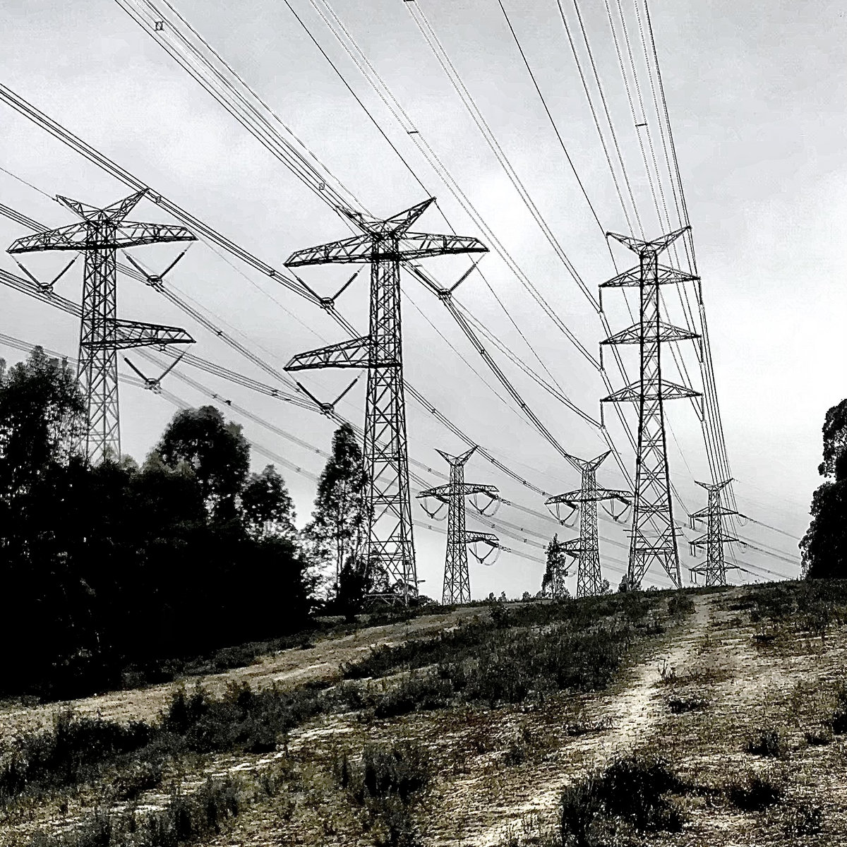 Beat Collection | Nick Theo